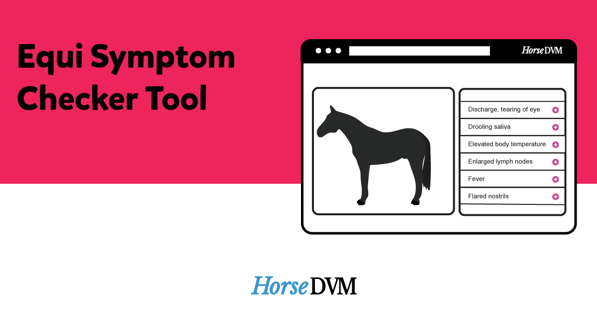 HorseDVM | Equi-Symptom Checker Tool