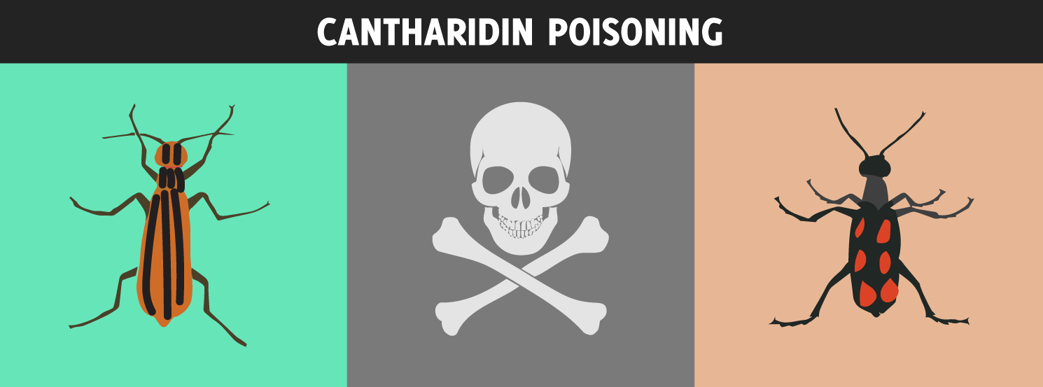 Blister Beetle Toxicity | HorseDVM Diseases A-Z