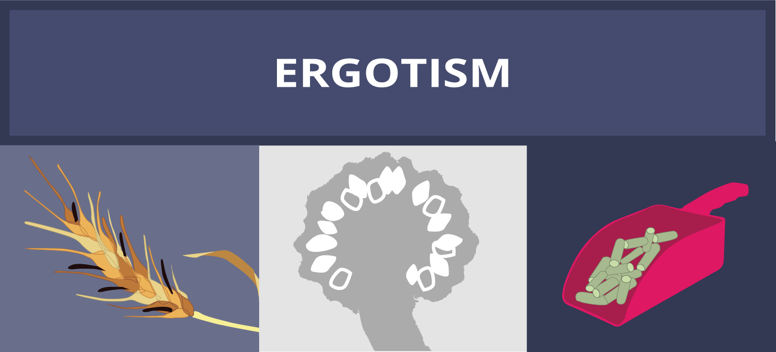 Ergotism in Horses: Signs, Treatment & Prevention