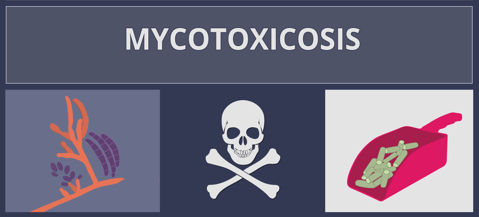 Mycotoxicosis | HorseDVM Diseases A-Z