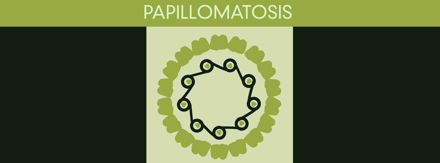 Papillomatosis | HorseDVM Diseases A-Z