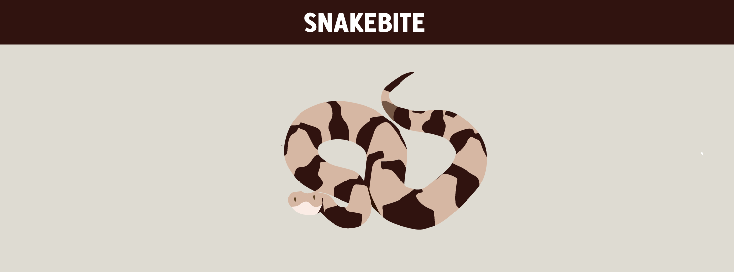 Snake Bite | HorseDVM Diseases A-Z