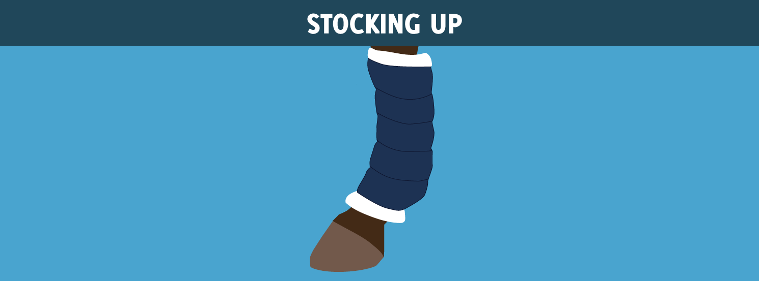 Stocking Up in Horses: Signs, Treatment & Prevention
